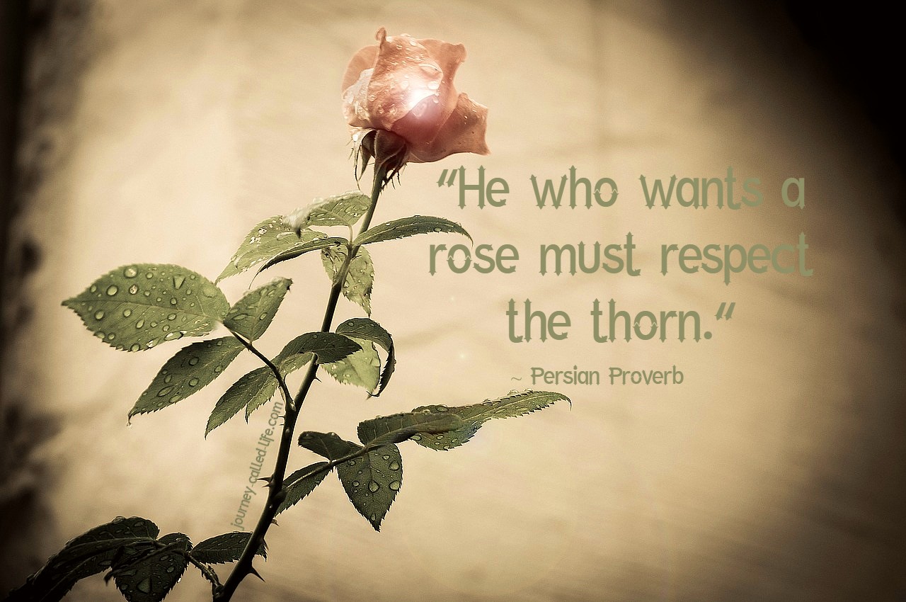 Communication with Understanding is the Only Relationship Salvation ...